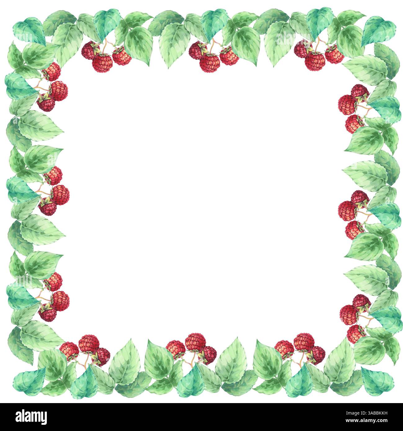 Botanical fruit frame hi-res stock photography and images - Alamy