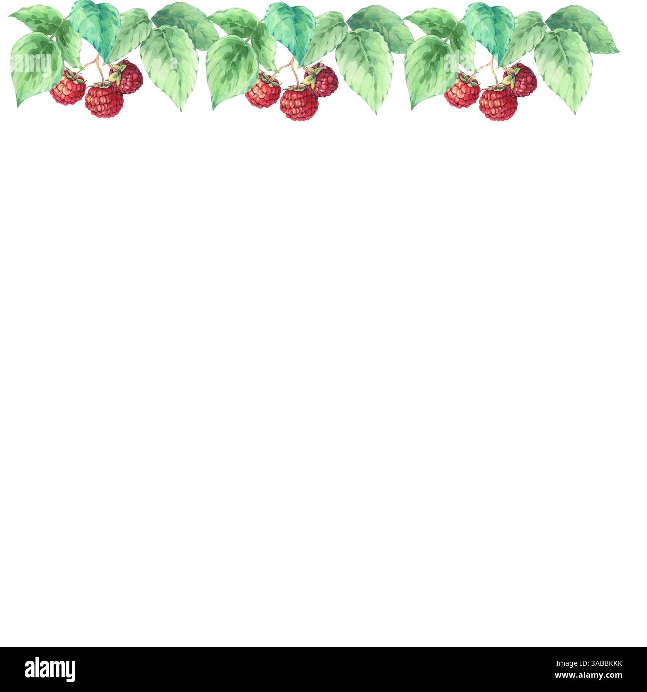 Watercolor border of raspberry leaves and berries Stock Photo - Alamy