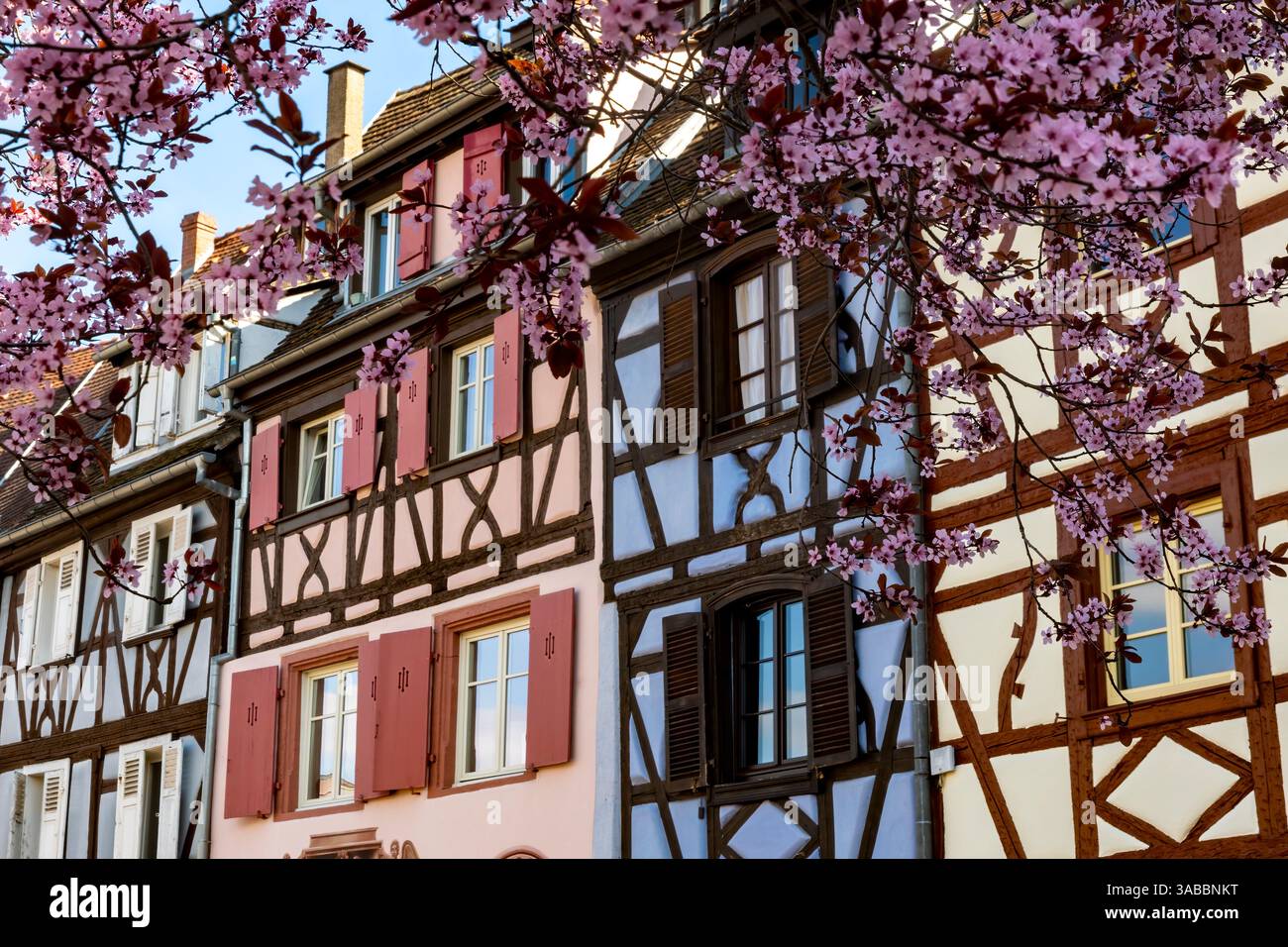 Half-timbered medieval houses in Colmar, Alsace, France Stock Photo - Alamy