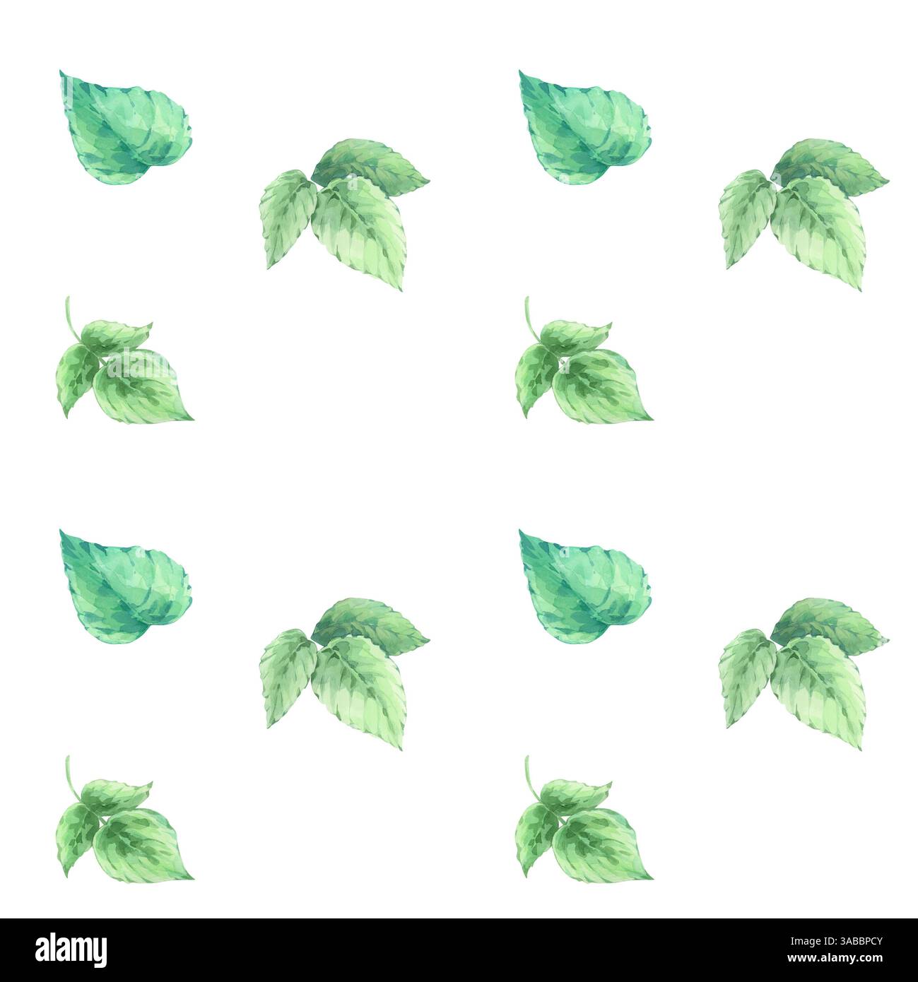 Watercolor pattern of raspberry leaves Stock Photo - Alamy