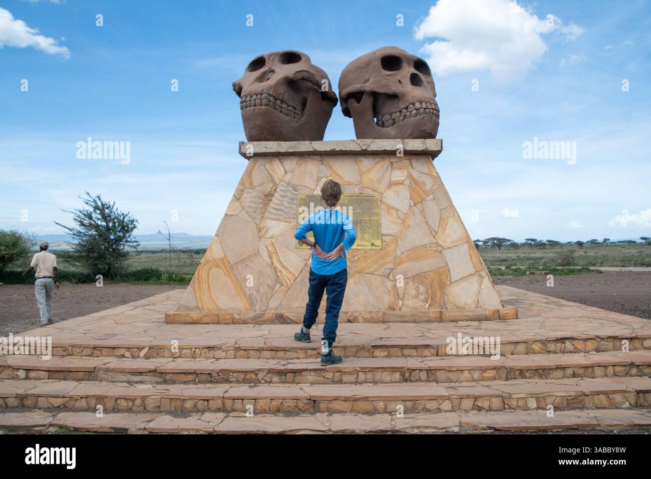 Statue of Paranthropus and Homo Habilis skulls at the Olduvai Gorge Museum. Ngorongoro ...