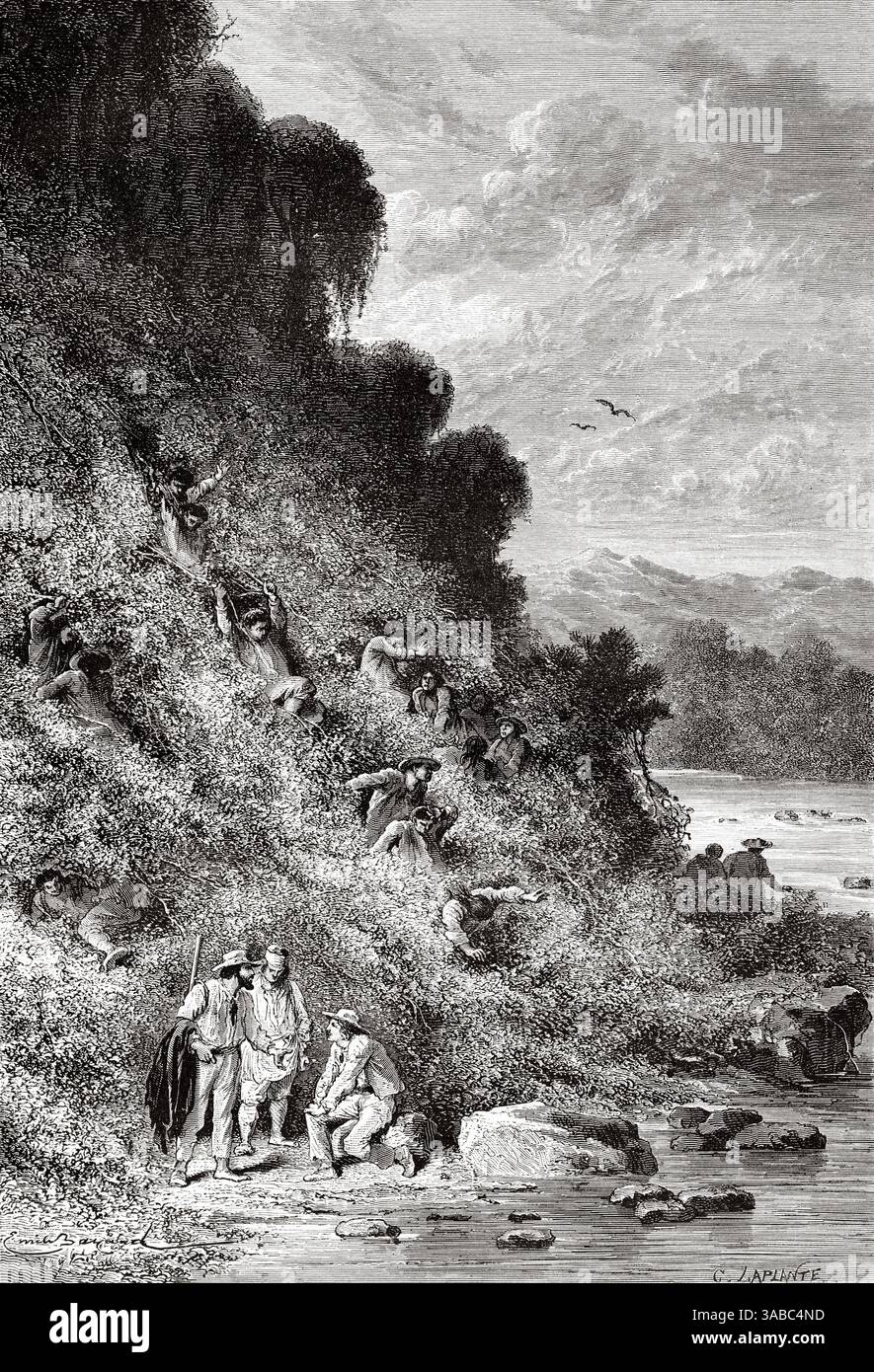 Expedition members descend a steep slope towards a river in the jungle ...