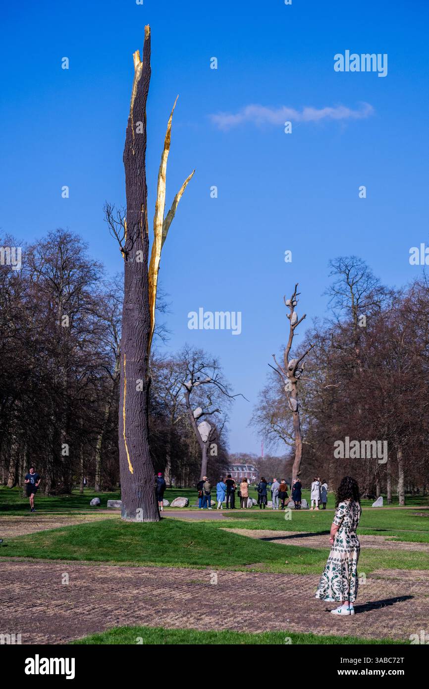 Albero di penone hi-res stock photography and images - Alamy