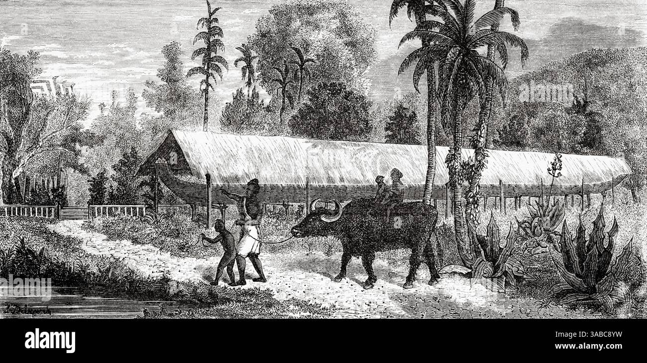 Racing canoe preserved under its roof, Laos. Indochina Peninsula ...