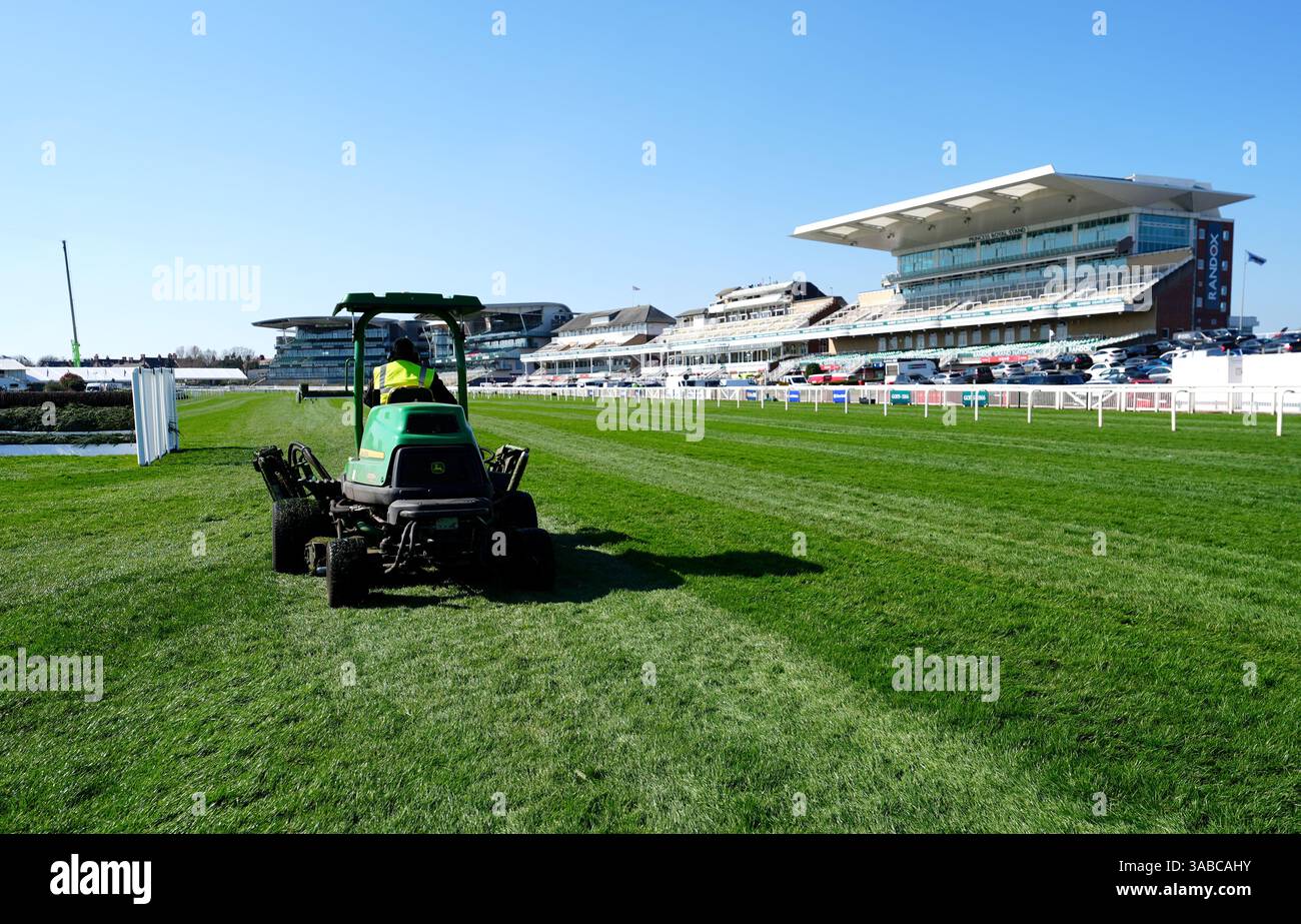 The grass is mowed on the homestretch at Aintree Racecourse in ...