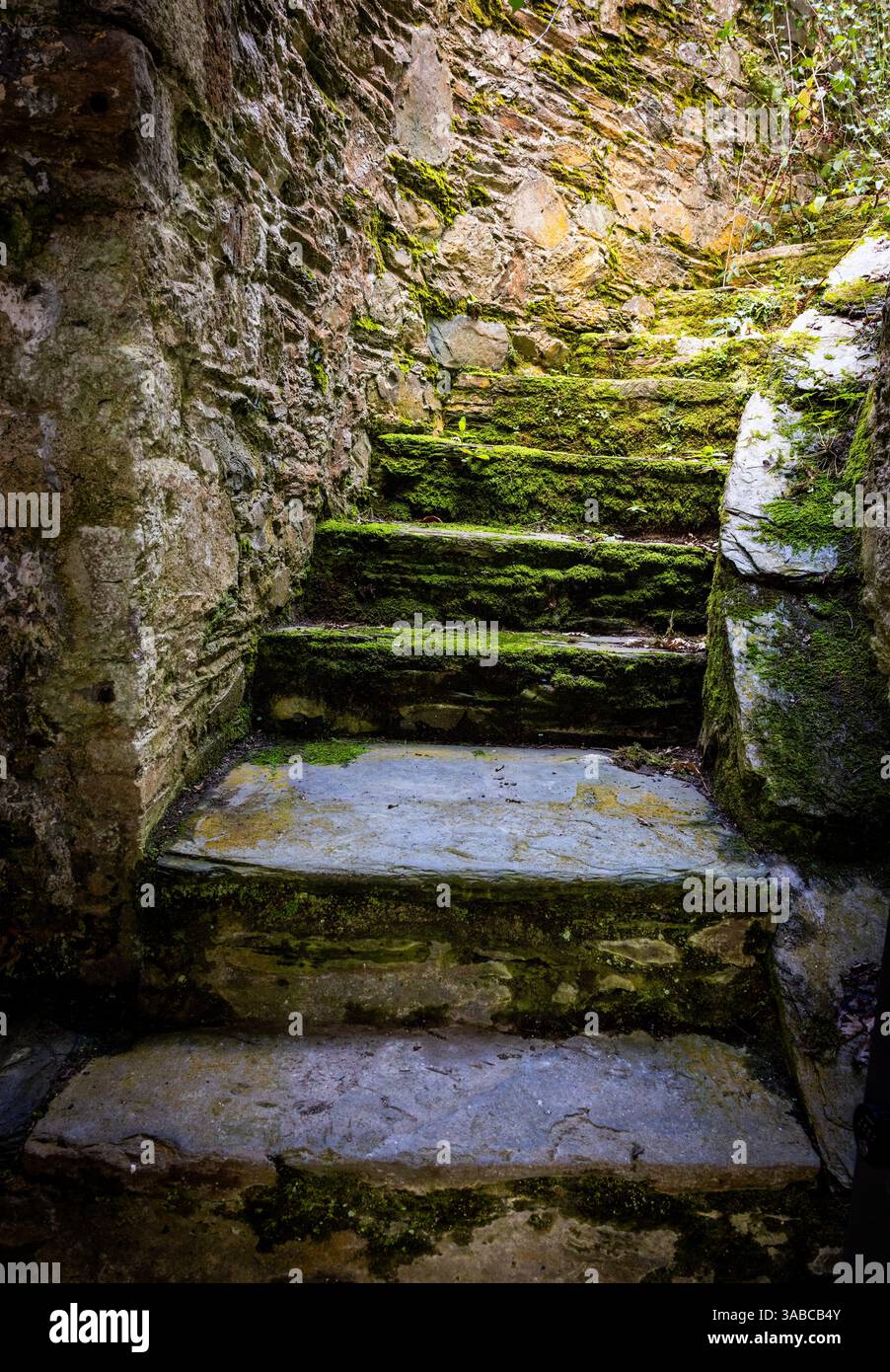 Moss covered stone steps in an English country house in Devon Stock ...