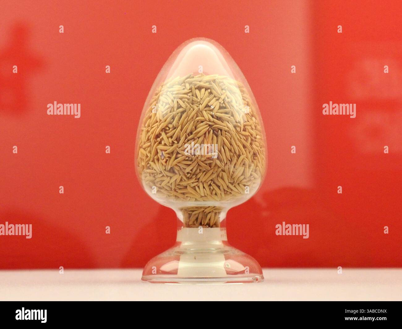 BEIJING, CHINA - APRIL 2, 2025 - "Space Breeding" on display at the ...