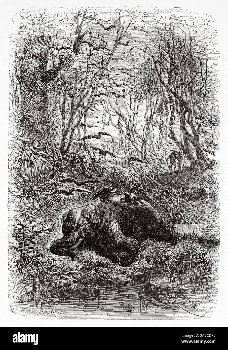 Nature explorer asia Cut Out Stock Images & Pictures - Alamy