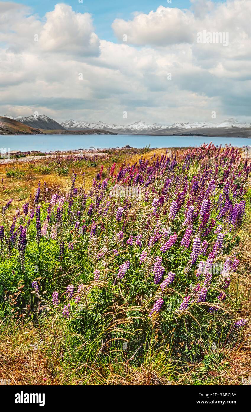 New zealand countryside scenery hi-res stock photography and images - Alamy