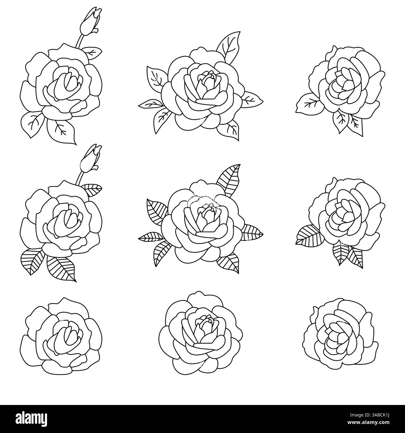 A set of roses. Outline rose illustrations. Black and white roses ...