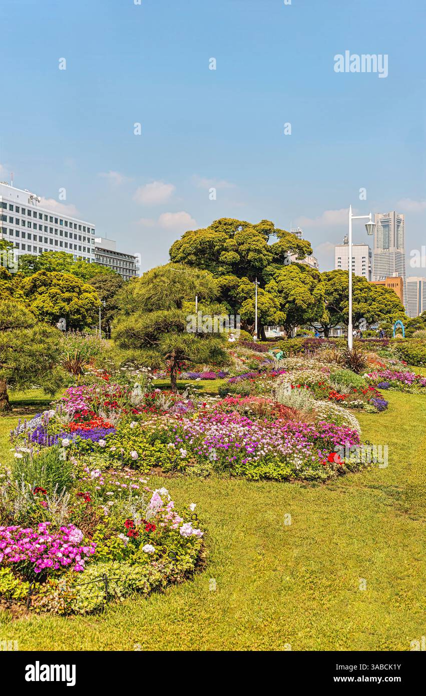 Three Rose Garden at Yamashita Park at the Yokohama waterfront ...