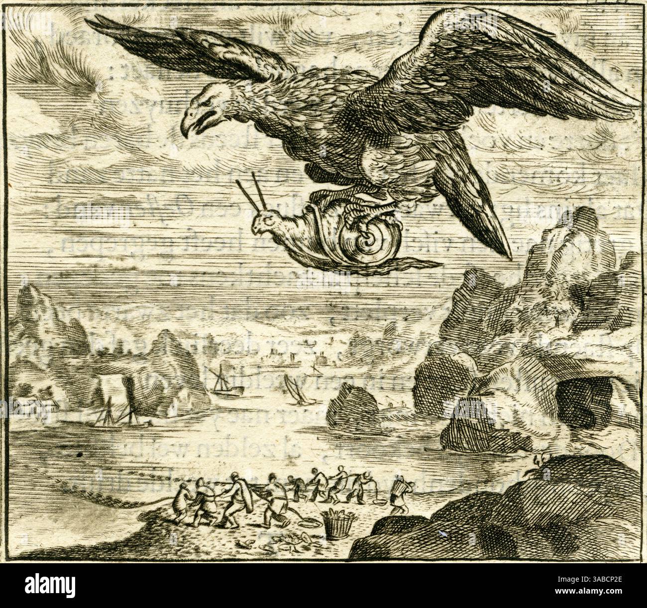 Majestic eagle gracefully carries giant snail over a bustling coastal ...