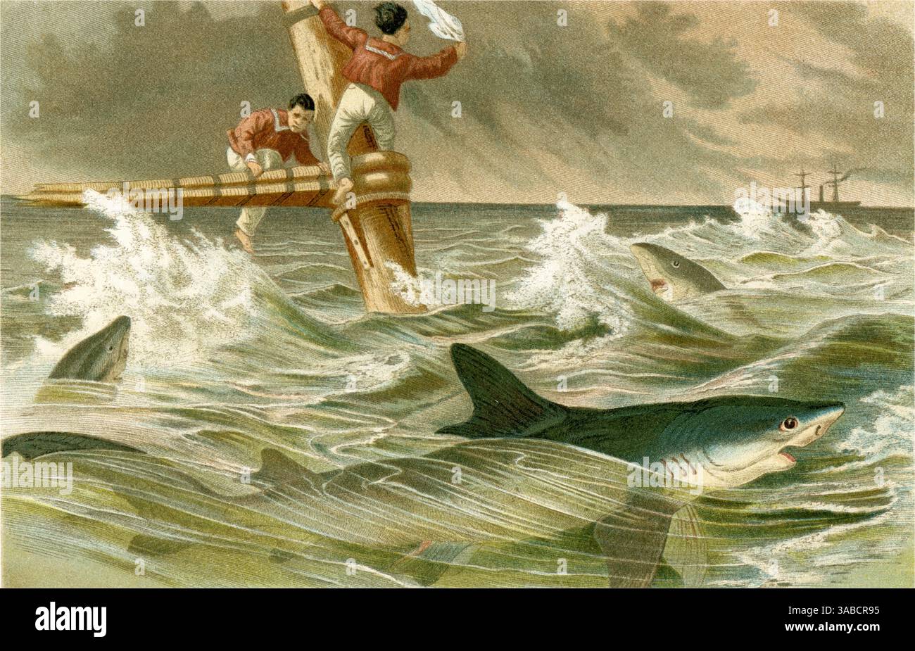 Two sailors face a turbulent ocean while battling sharks in a dramatic ...