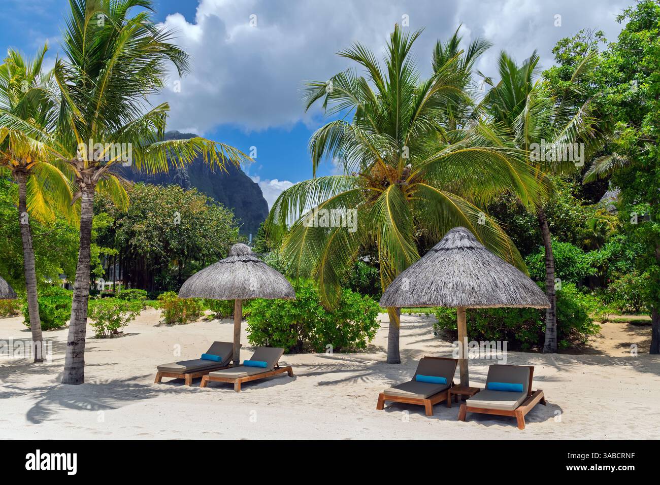 Beautiful beach resort. Chairs on the sandy beach near the sea with a ...