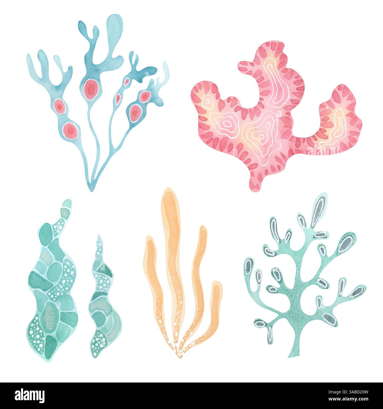 Watercolor decorative seaweed collection - stylized ocean algae ...