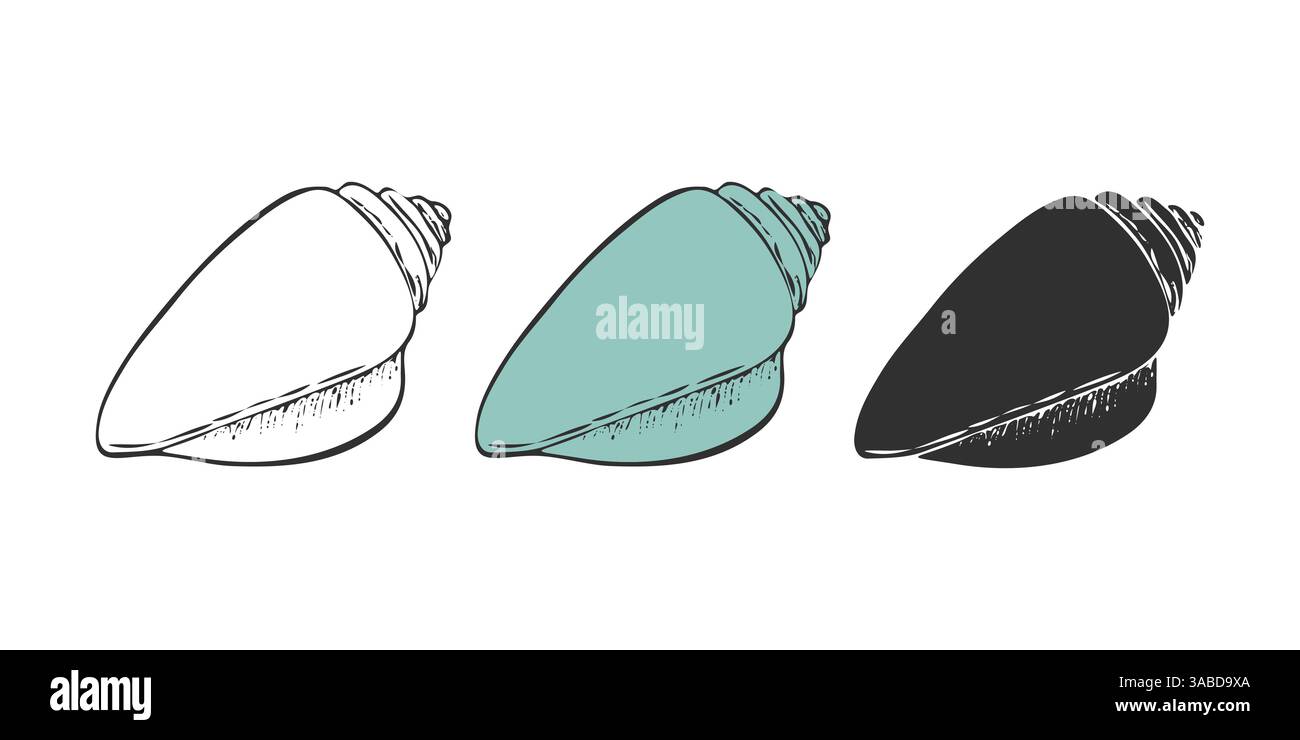 Conch seashell icons, clam shell with spiral shape of wildlife from ...