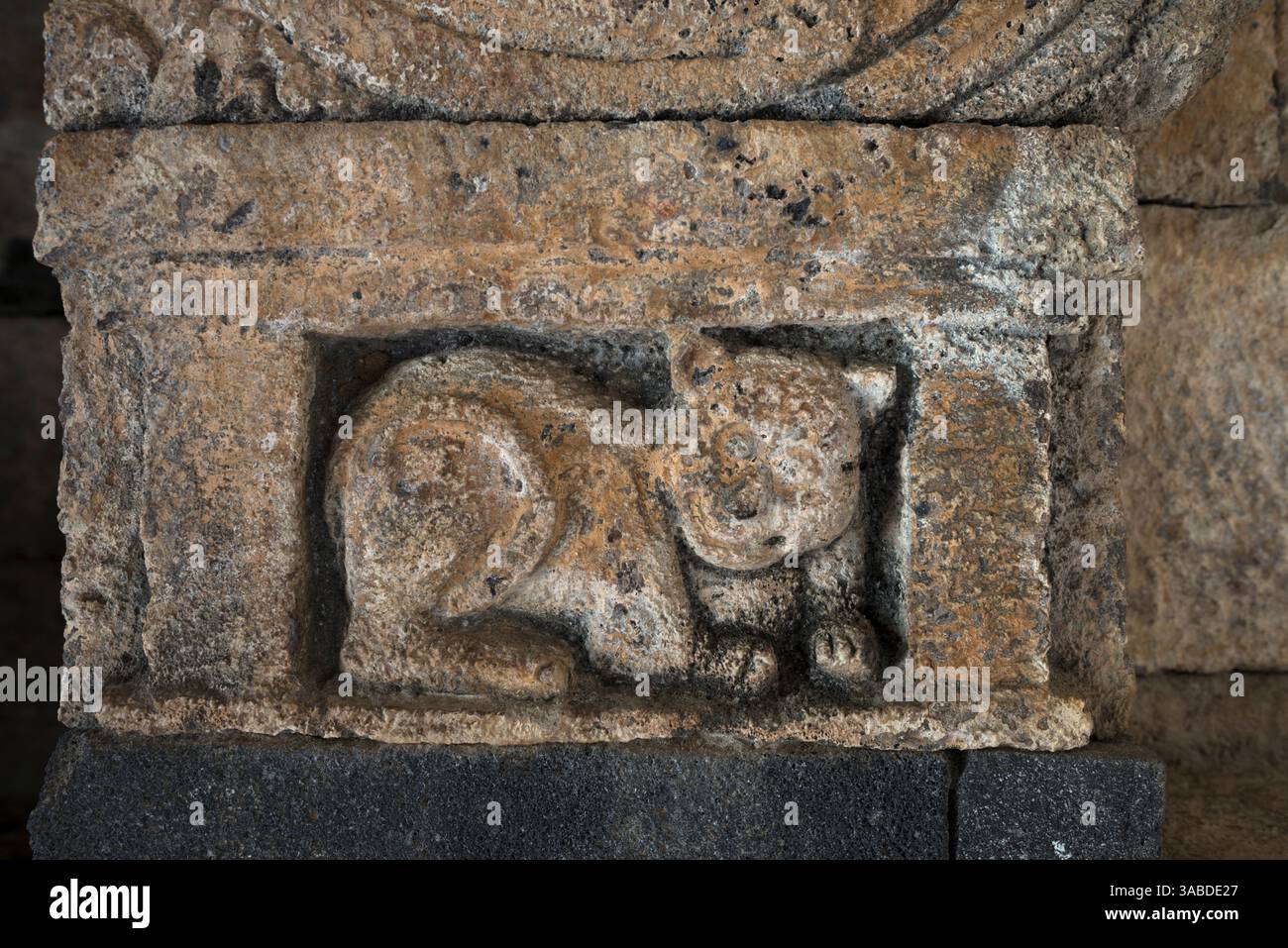 Bas relief of a cat in Pawon Temple, Magelang, Central Java, Indonesia ...