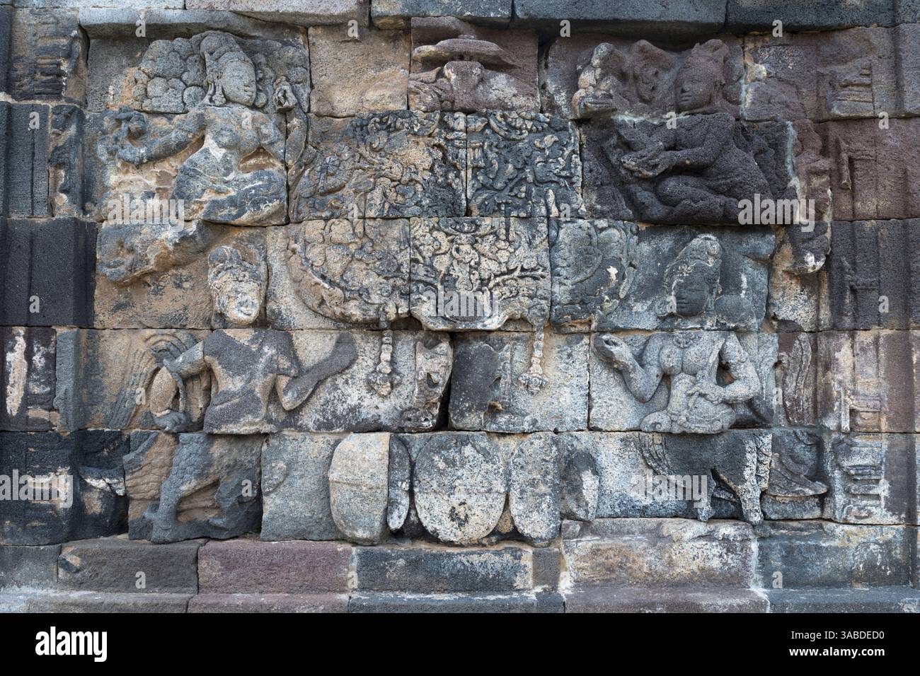 Bas relief of the Kalpataru tree on the outer wall of Pawon Temple ...