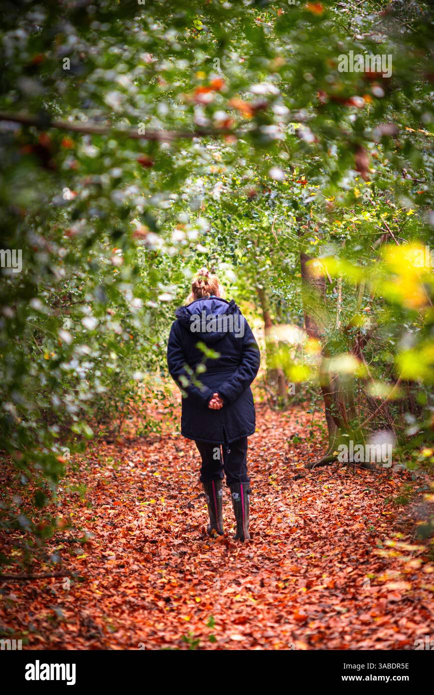 Woman walking through bushes and trees with autumn leaves on the ground ...