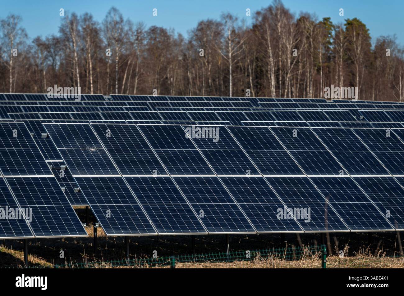 Rows of solar panels absorb sunlight in a renewable energy field during ...