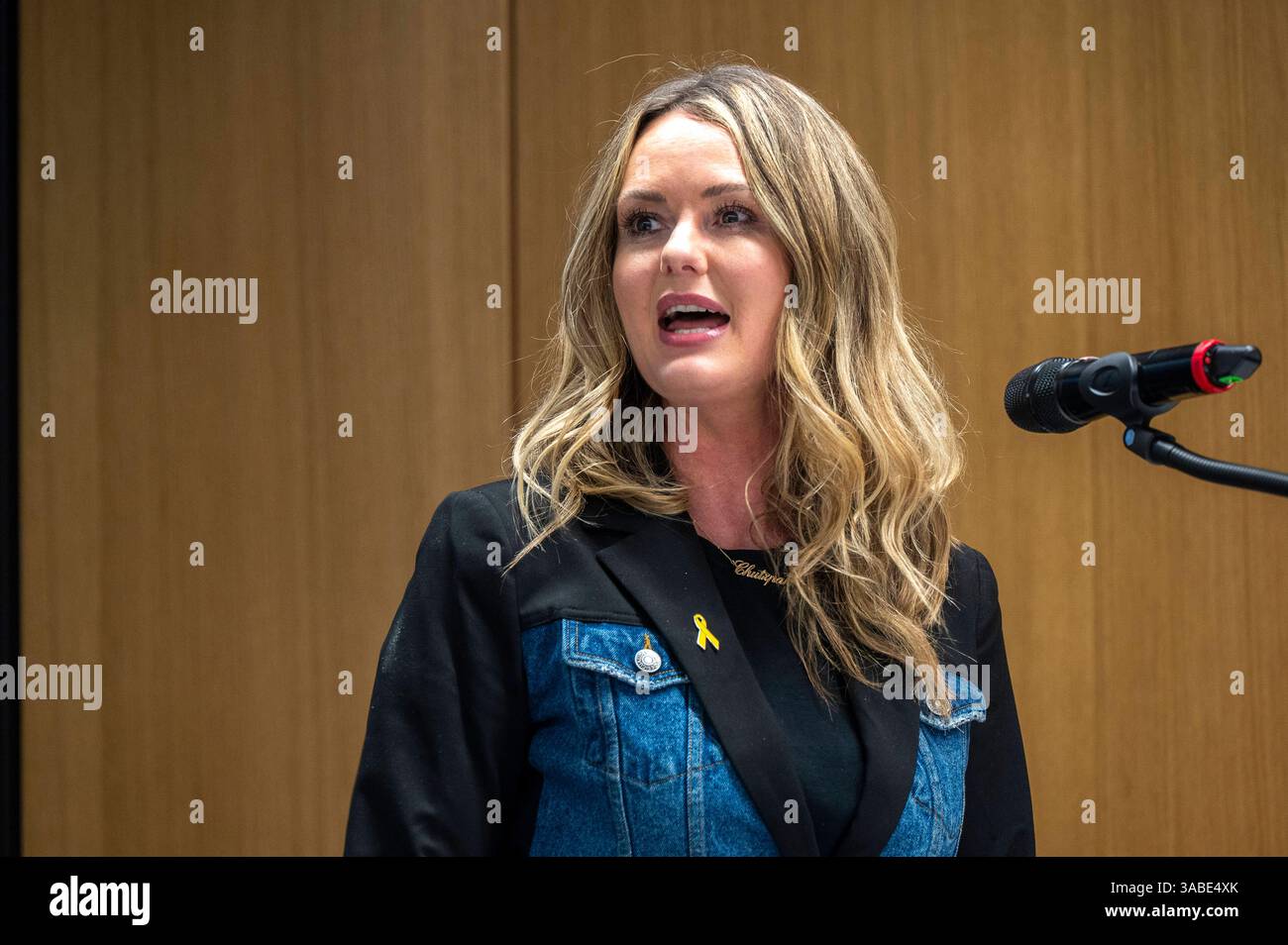 Muenchen, Buergerversammlung Bezirksteil Haidhausen ...