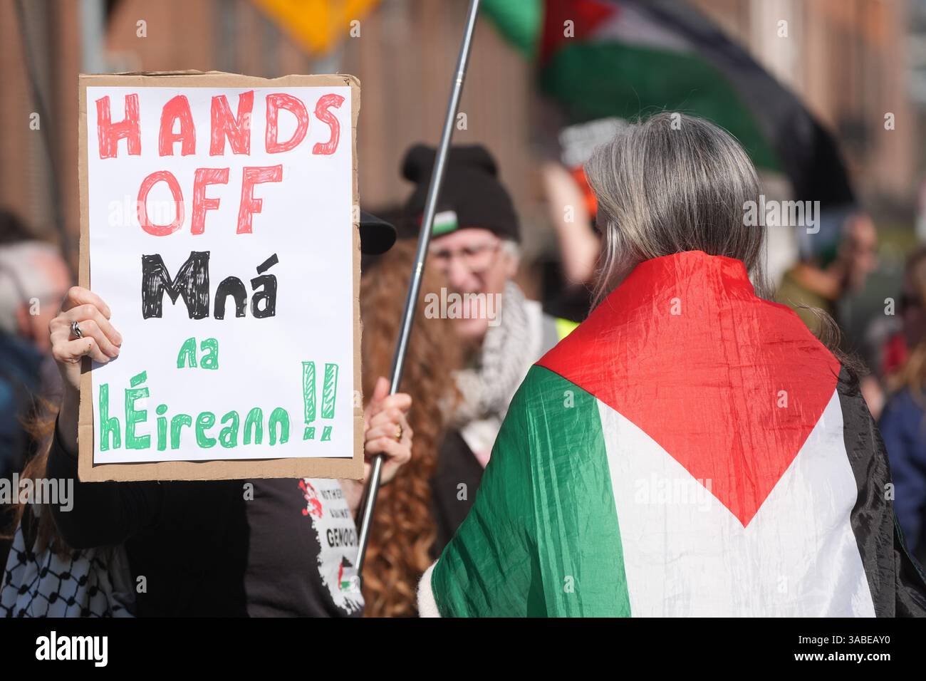 People taking part in a pro-Palestine demonstration outside Leinster ...