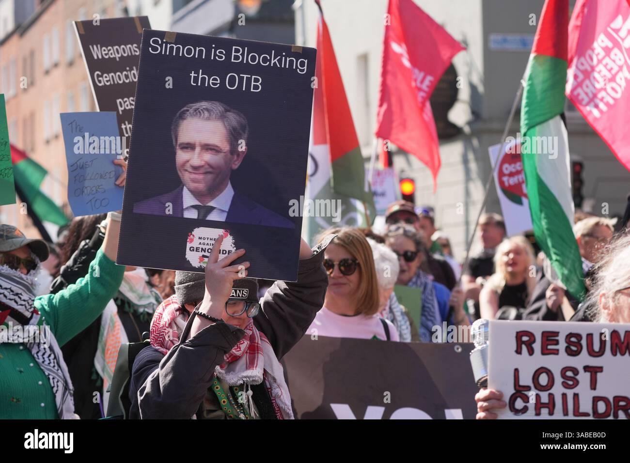 People taking part in a pro-Palestine demonstration outside Leinster ...