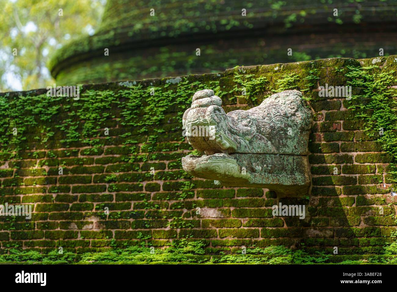 The image depicts the Vatadage, a circular relic house in Polonnaruwa’s ...