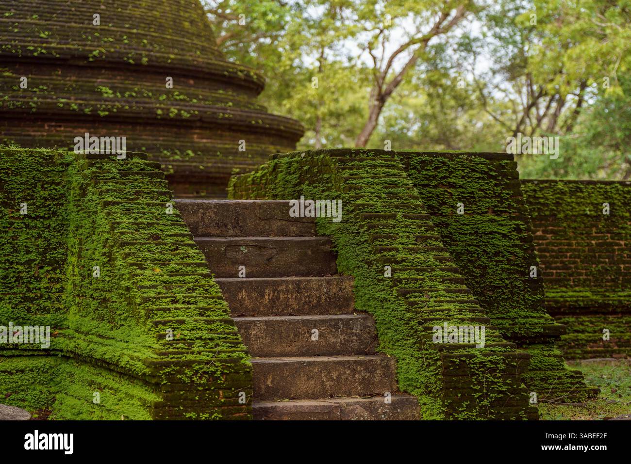 The image depicts the Vatadage, a circular relic house in Polonnaruwa’s ...