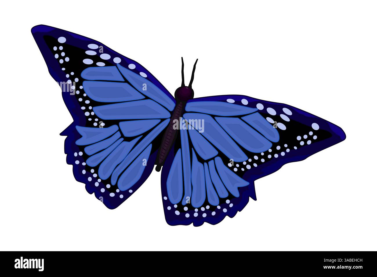 Butterfly. Wildlife insect. Blue moth with ornaments and white spots on ...