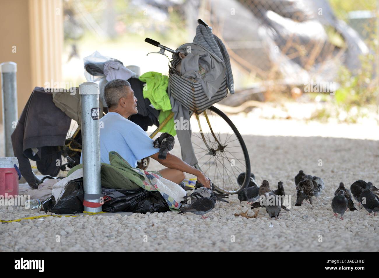 September 13, 2017 - Miami Beach, Florida, United States Of America ...