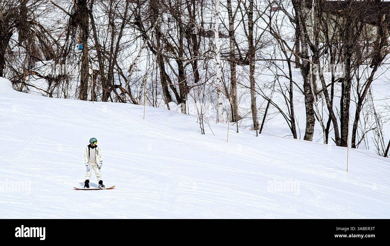 Snowboarder on a gentle ski slope at Hakuba in Nagano, Japan Stock ...