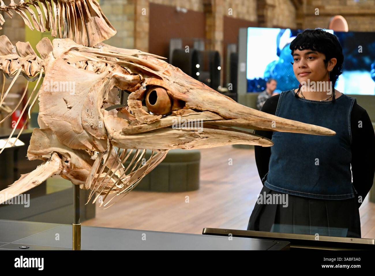 London, UK. EMBARGOED to 8pm 2nd April 2025. Museum worker with a Black ...
