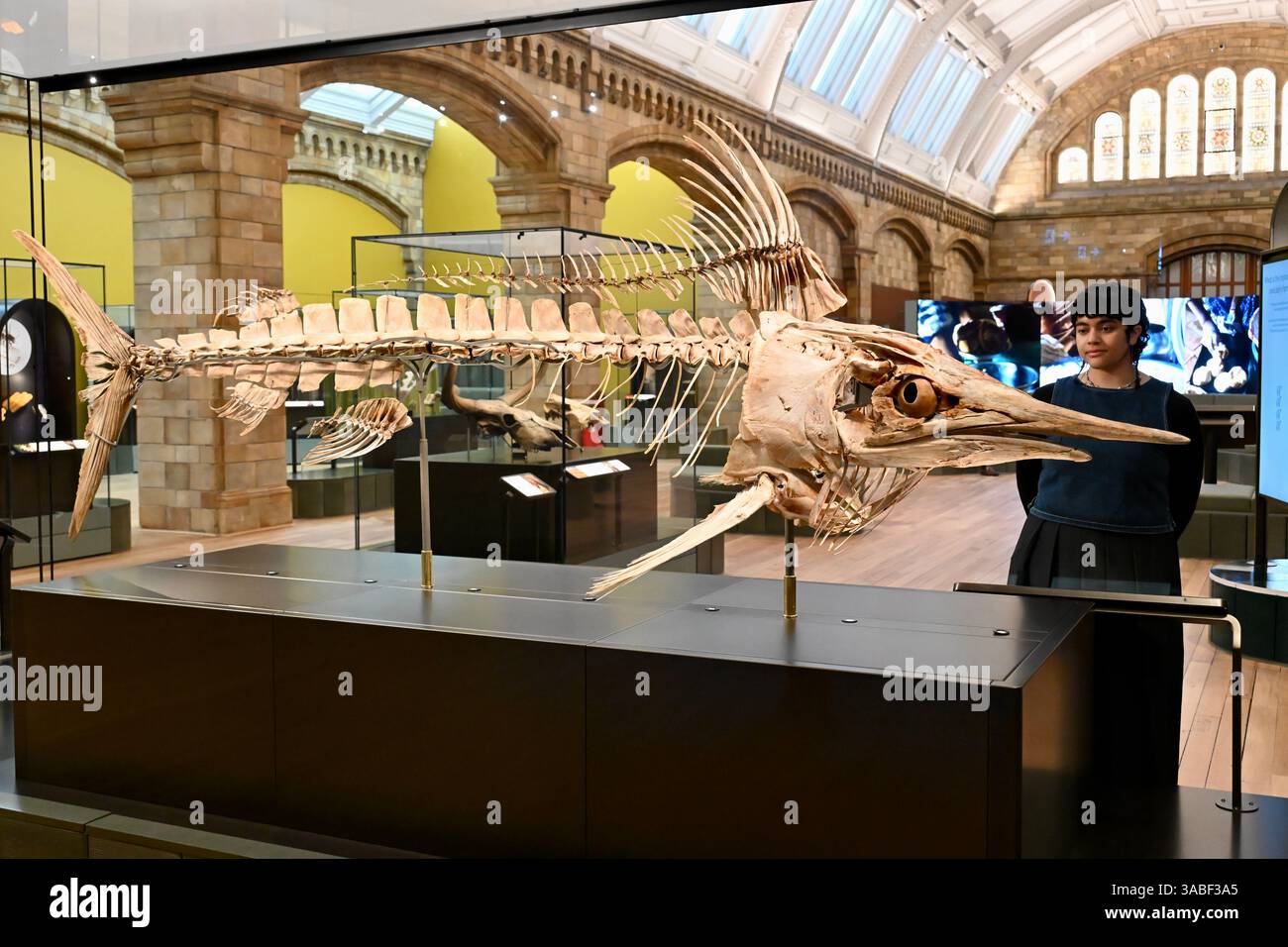 London, UK. EMBARGOED to 8pm 2nd April 2025. Museum worker with a Black ...