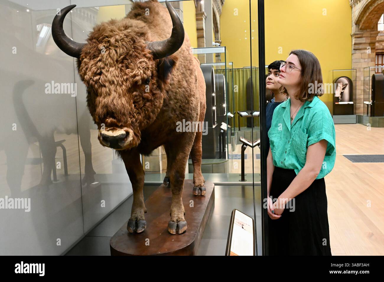 London, UK. Press Preview of the new exhibition " Fixing Our Broken ...