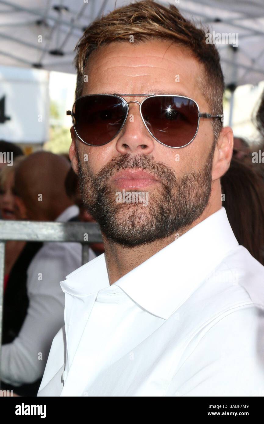 April 16, 2018 - Los Angeles, CA, USA - LOS ANGELES - APR 16: Ricky ...