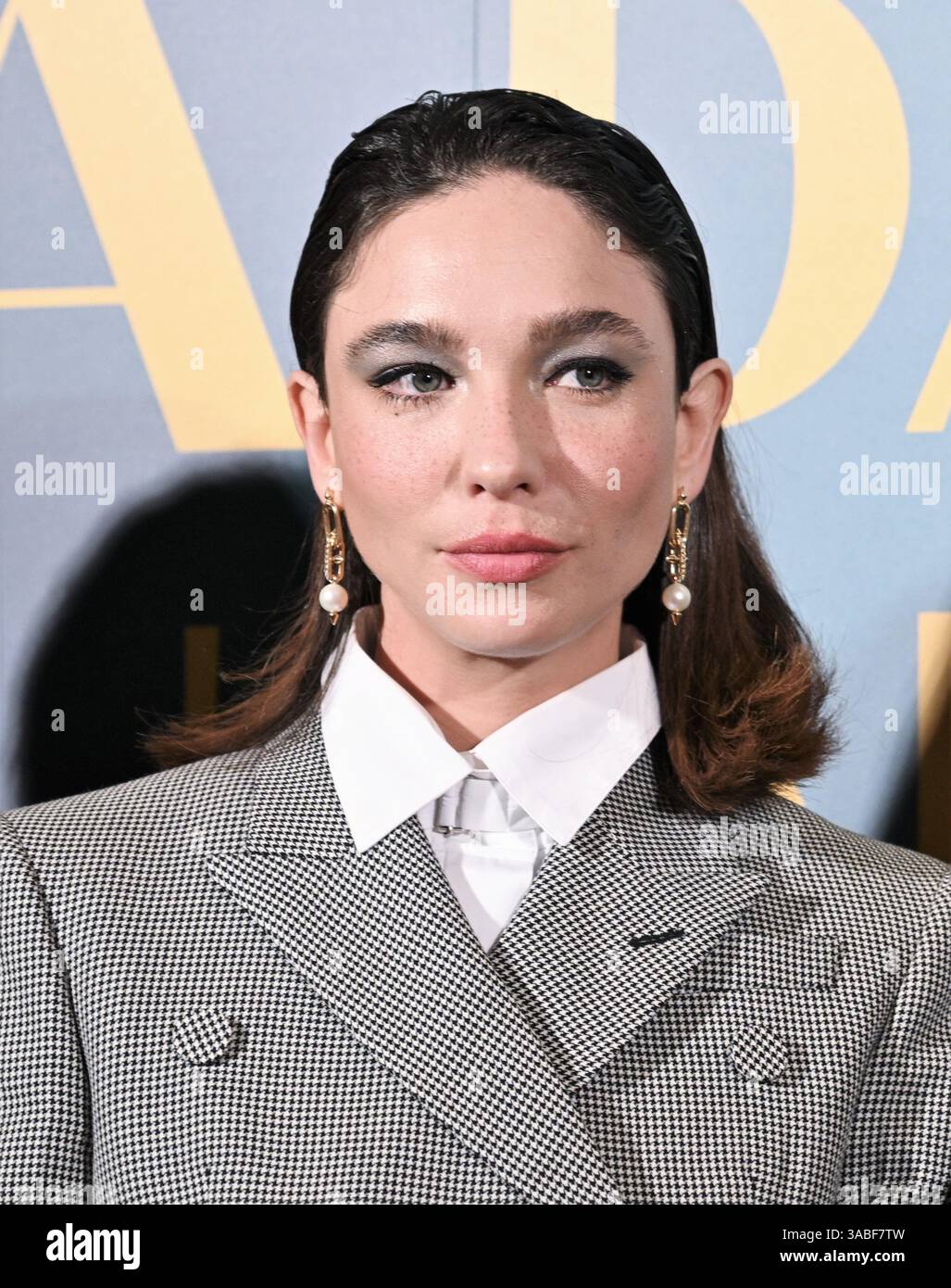 Milan, . 02nd Apr, 2025. Milan, Italy LA VITA DA GRANDI film photocall ...