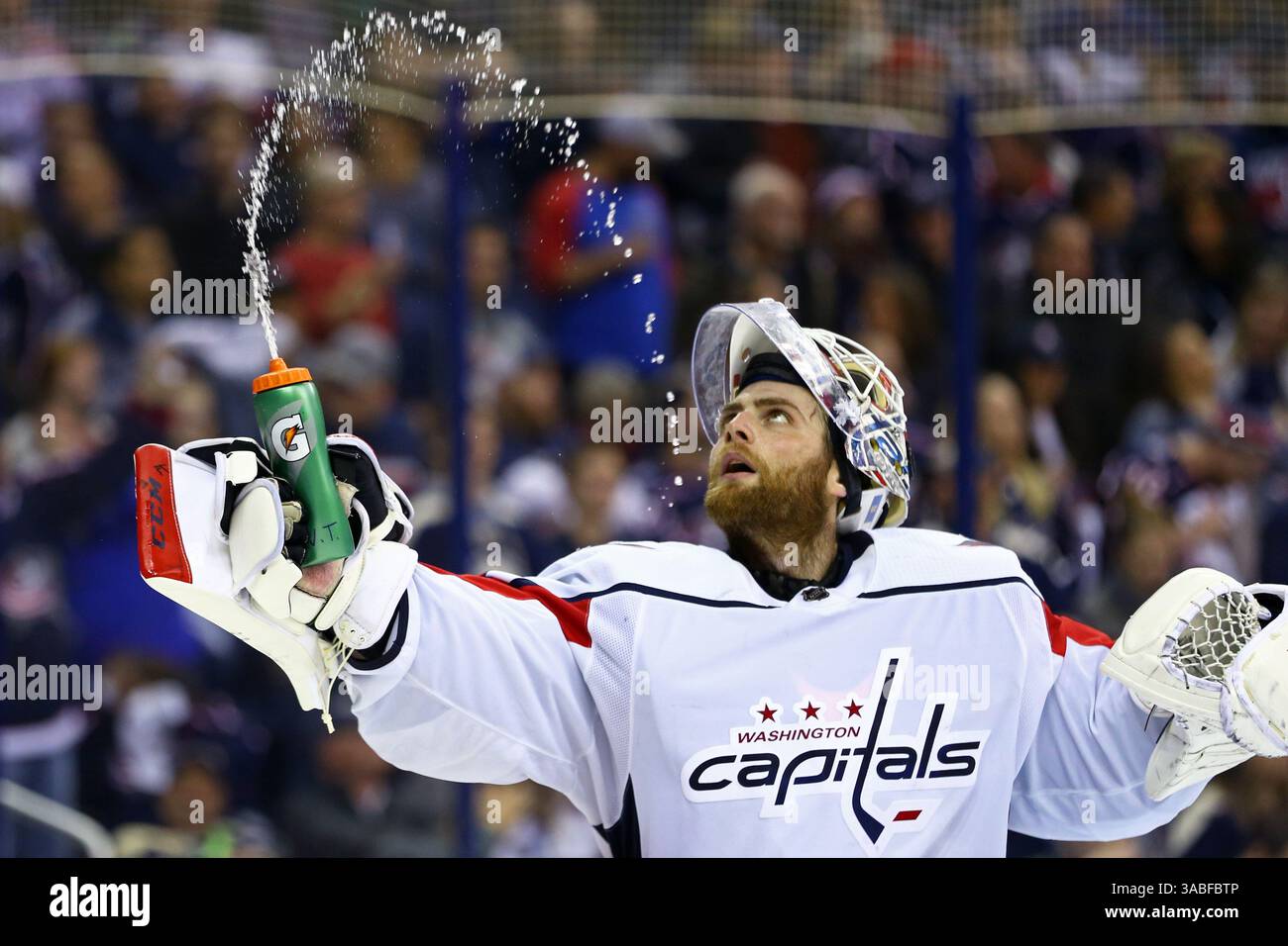 Stanley cup water hi-res stock photography and images - Alamy