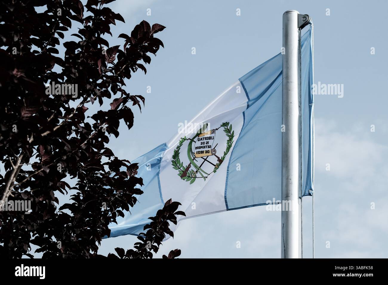 Guatemala's flag hi-res stock photography and images - Alamy