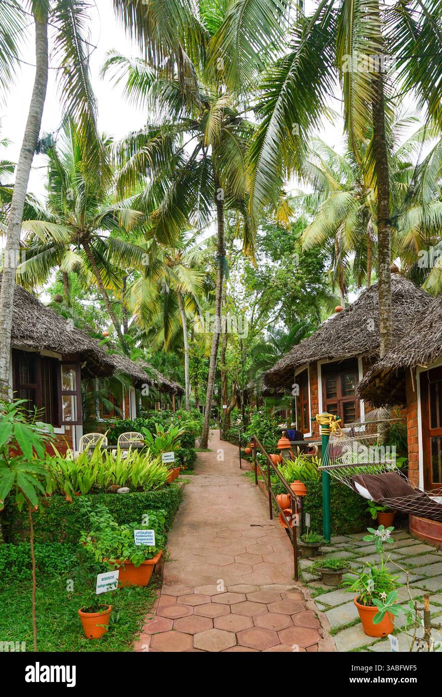 The Malabar coast is famous for its beautiful Ayurvedic resorts, Kerala ...