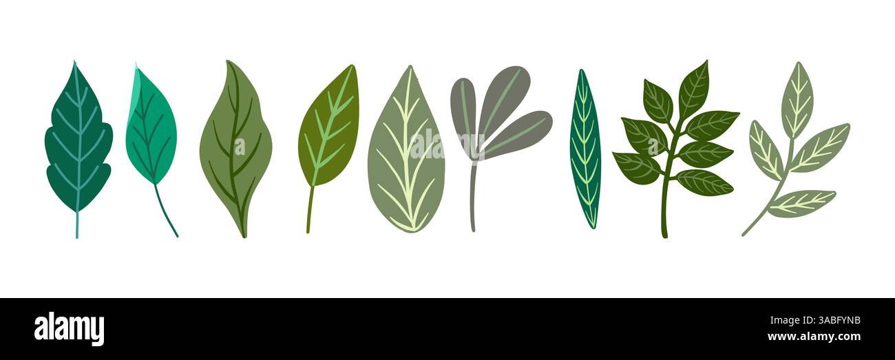 Shapes of foliage Cut Out Stock Images & Pictures - Alamy