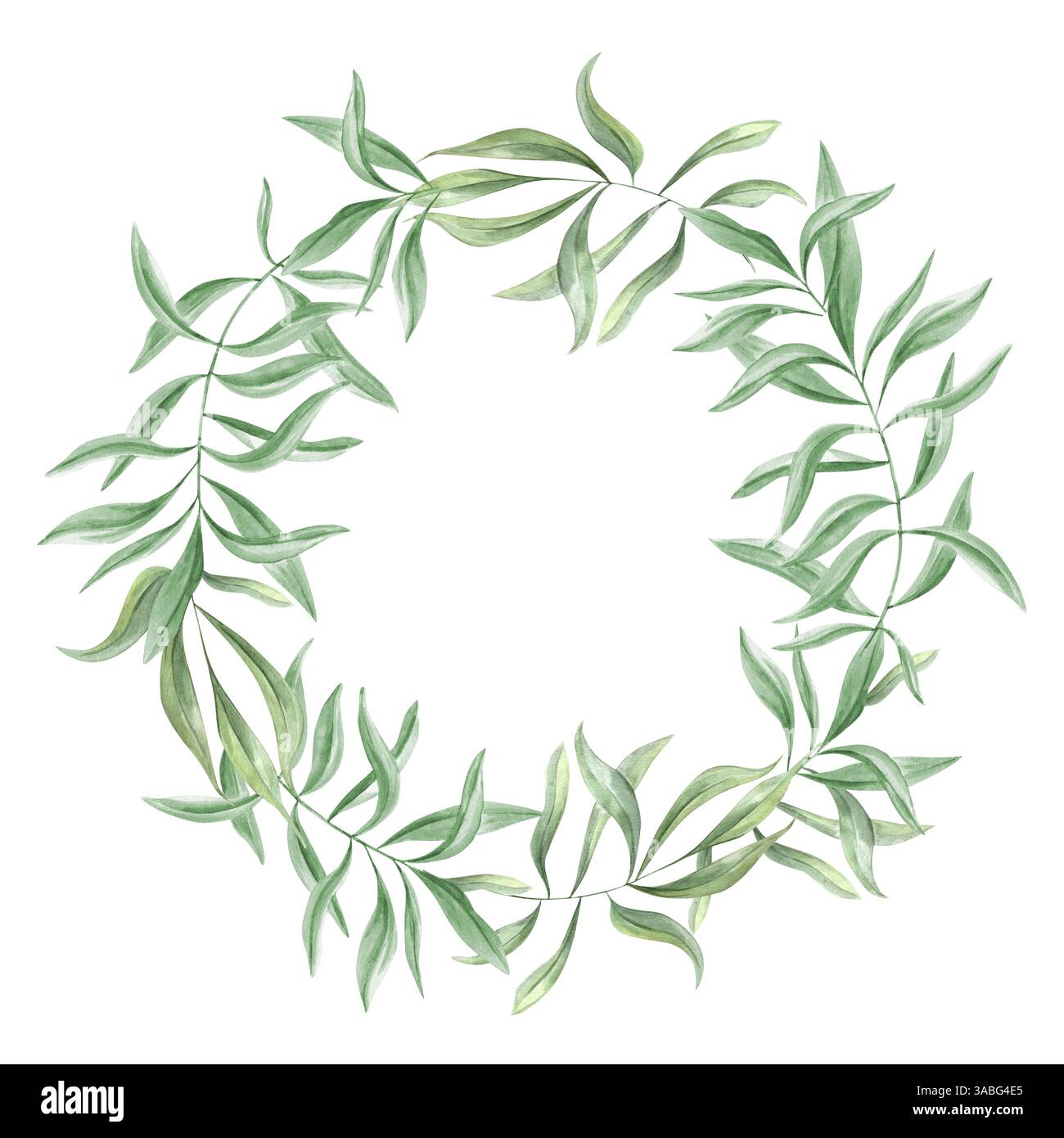 Eucalyptus or oleander foliage watercolor wreath with empty space for ...
