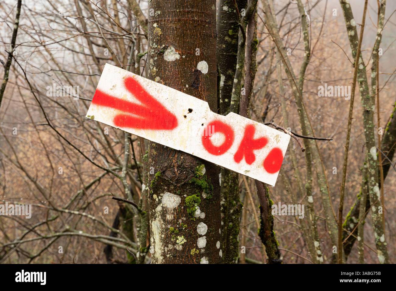 Sign on tree pointing to right to natural phenomenon lake on slopes of ...