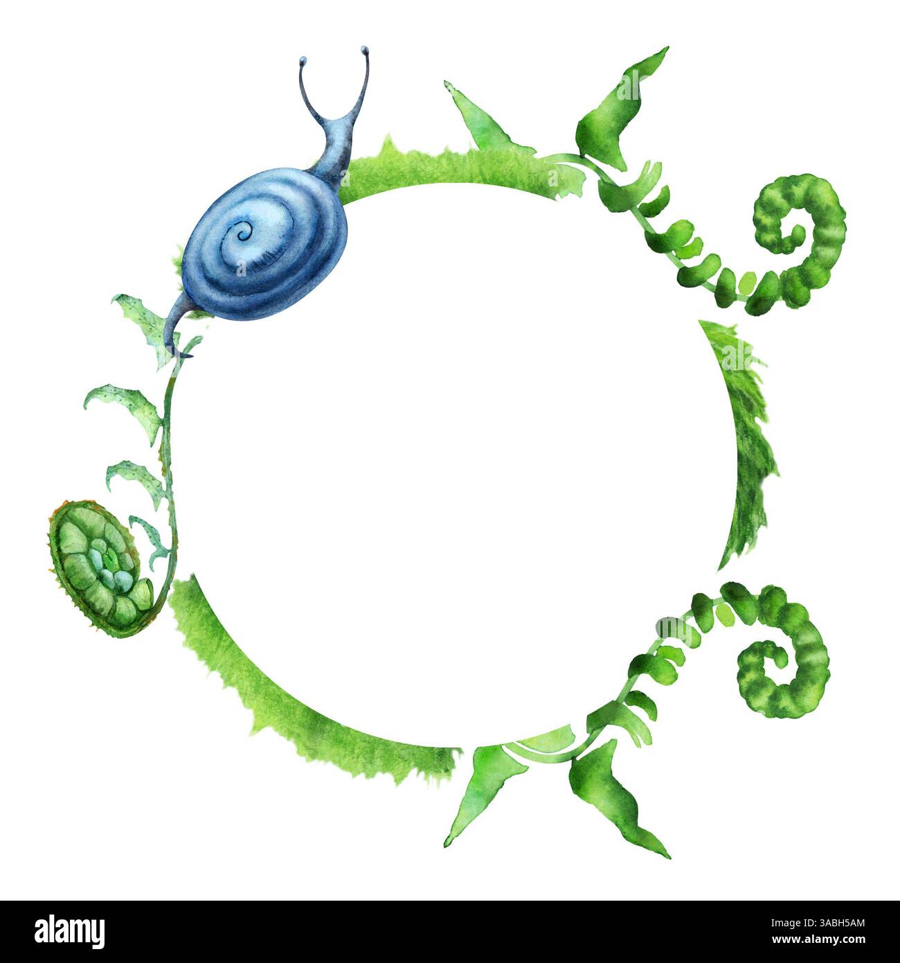 Forest plants wreath. Botanical greenery with snails, with green and ...