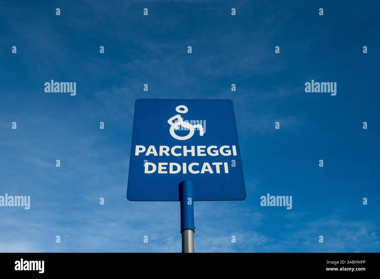 disabled parking symbol, disabled parking, symbol printed on asphalt ...