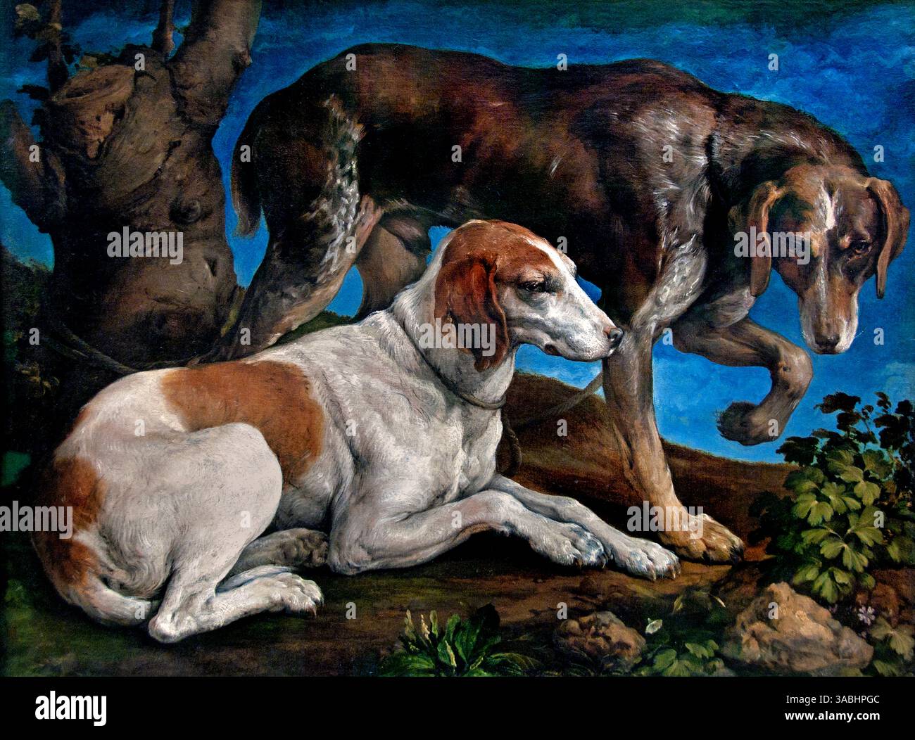 Deux chiens de chasse lies a une souche- Two hunting dogs has a related ...