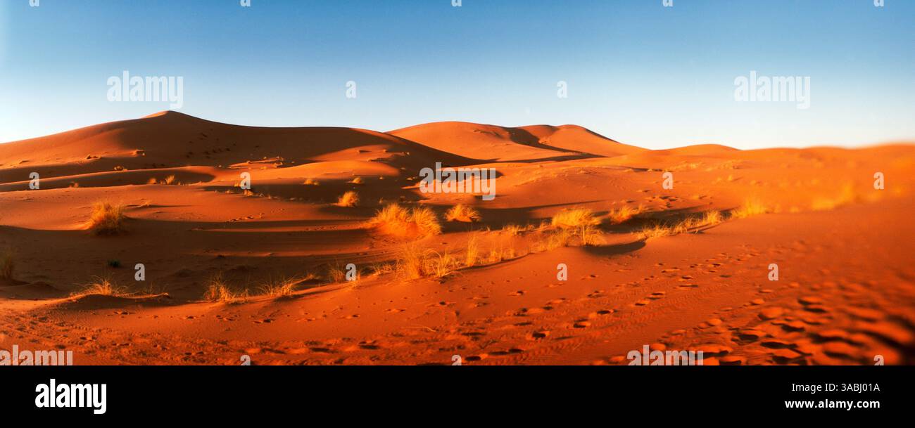Panoramic desert at sunrise, Sahara Desert, Morocco Stock Photo - Alamy