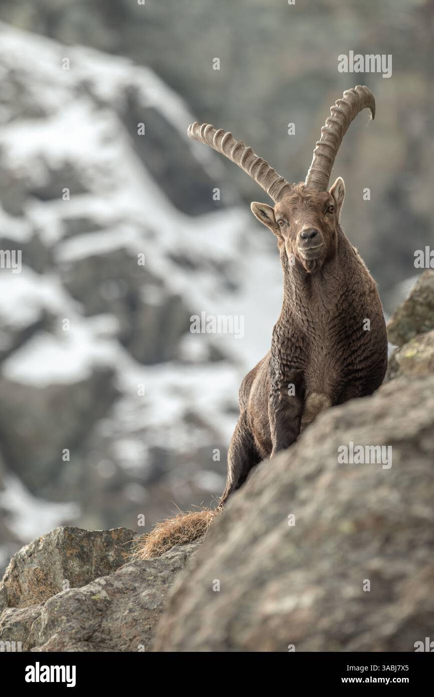 Standing on big rocky wall hi-res stock photography and images - Alamy