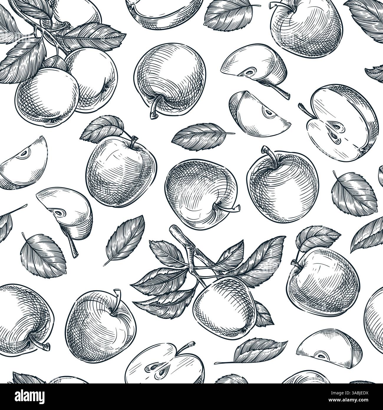 Farm fresh apples seamless pattern. Vector hand drawn sketch ...