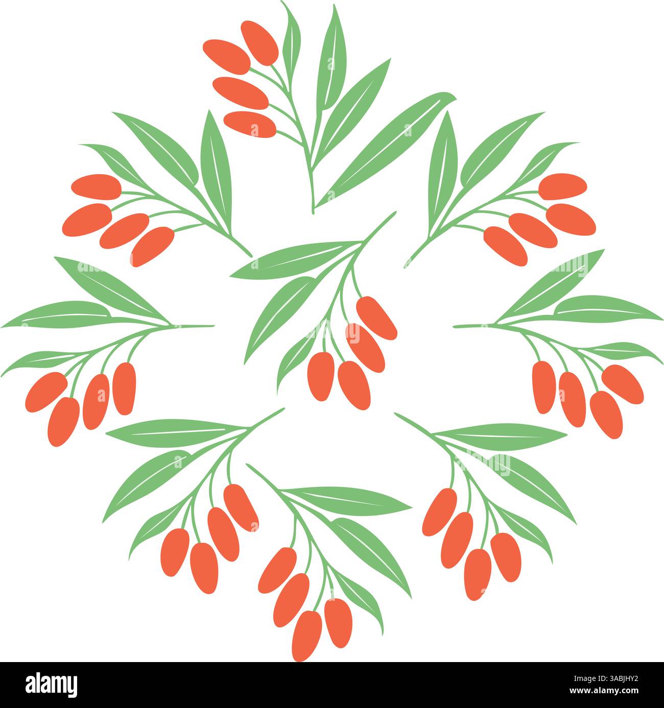 Goji Berry Wreath Vector Illustration Stock Vector Image & Art - Alamy